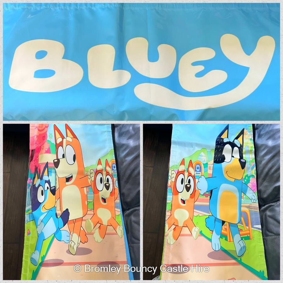 Bluey Hire - Bouncy Castles, Soft Play & Inflatable Hire in Orpington ...