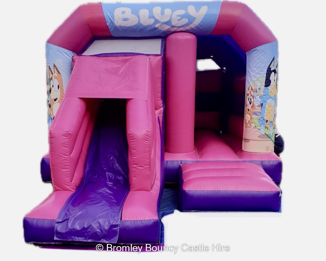 Bluey Bounce & Slide Hire | Purley, Streatham, Catford, Chaldon