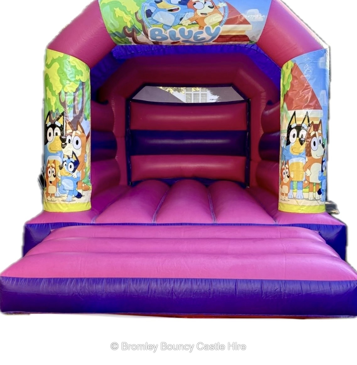 Bluey Bouncy Castle Hire in Purley, Dulwich & Surrounding Areas